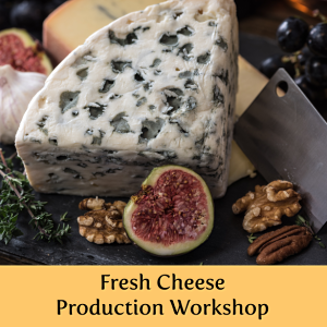 Cheese Workshops - Creative Switzerland: Explore Your Creative Potential